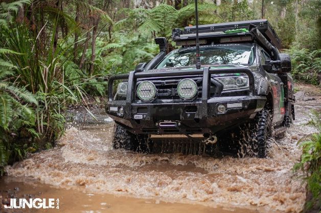 Jungle 4x4 / Bull Bars